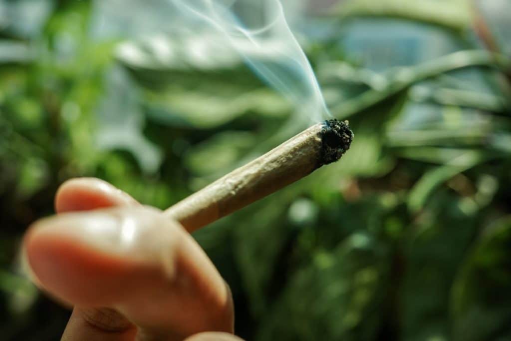 Las 100 formas de llamar a un porro | Smoking Paper